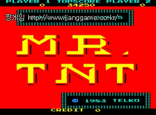 미스터TNT Mr.TNT 게임실행 - 짱게임
